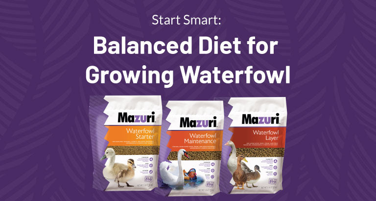 Mazuri® Exotic Animal Products - You Do 'Zu