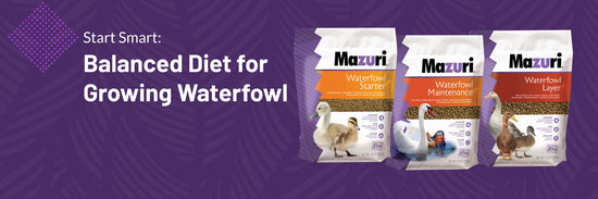 Mazuri® Exotic Animal Products - You Do 'Zu